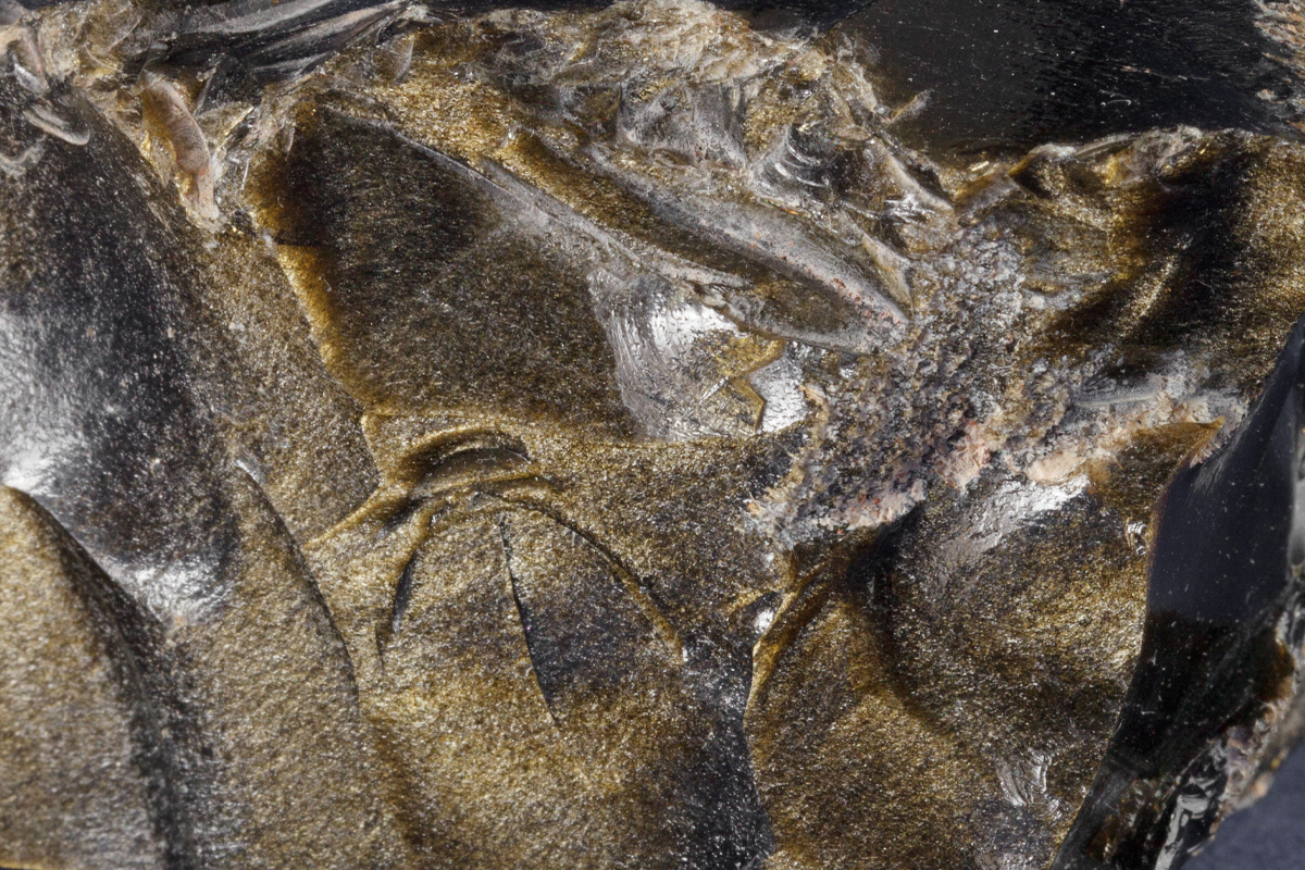 SIO Crystal希奧水晶-金曜石｜Gold Obsidian：神秘的招財石，領袖的魅力之源