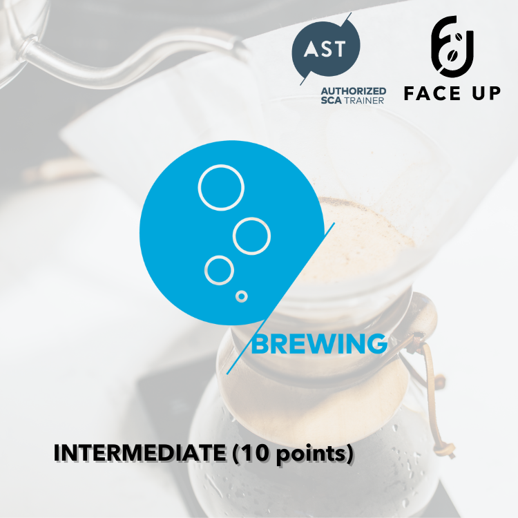 SCA Brewing 咖啡沖煮及研磨(中級)