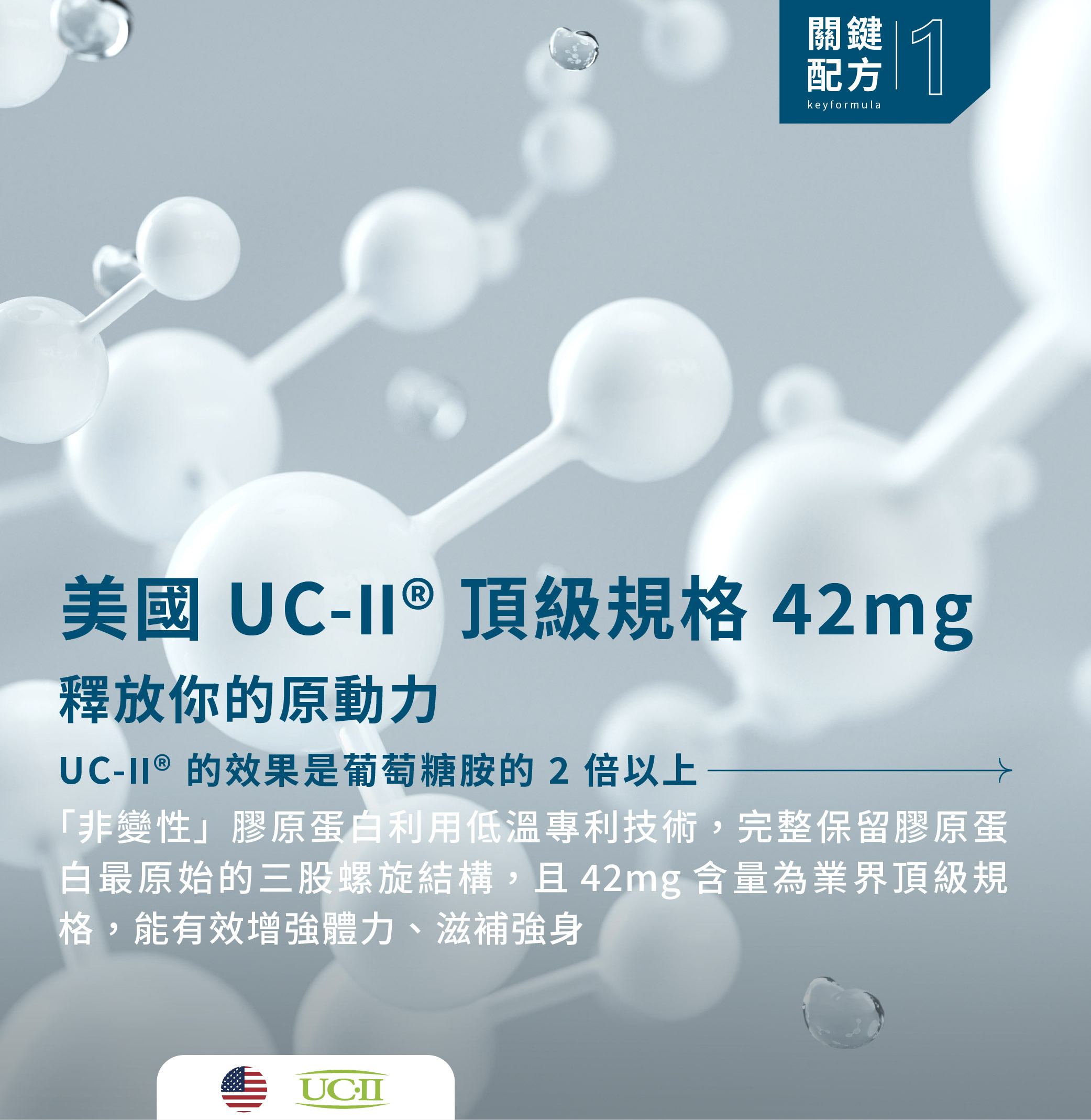 美國專利UC2(二型膠原蛋白) - VITABOX® 關鍵專科
