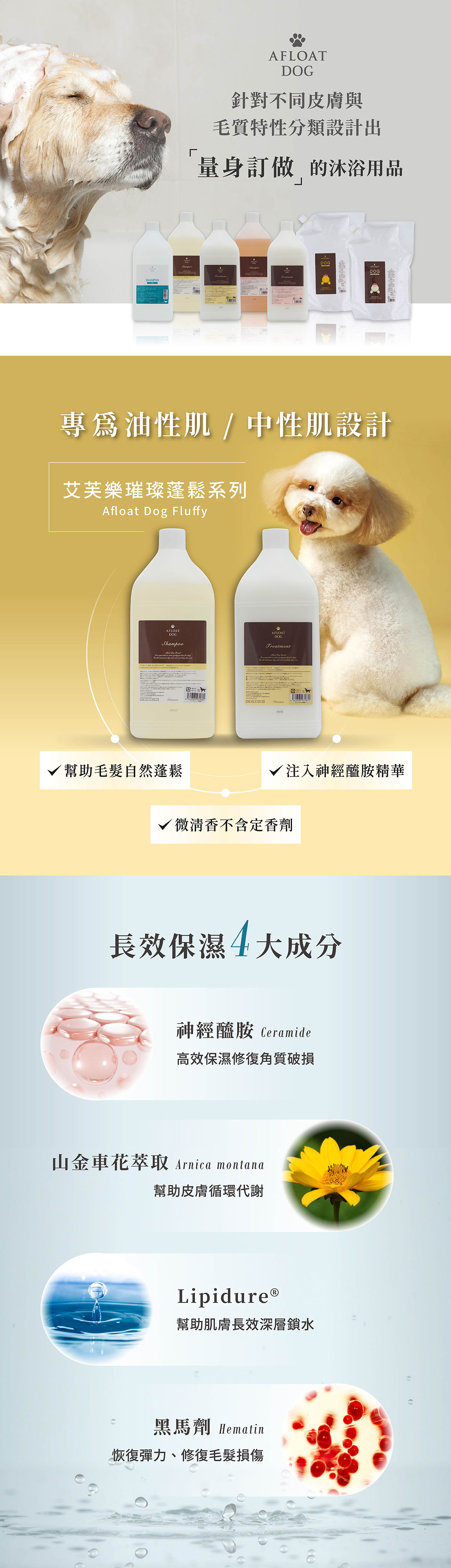 璀璨蓬鬆洗毛精 [犬貓通用] - afpet