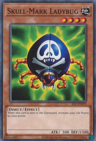 IOC-EN079 Skull-Mark Ladybug