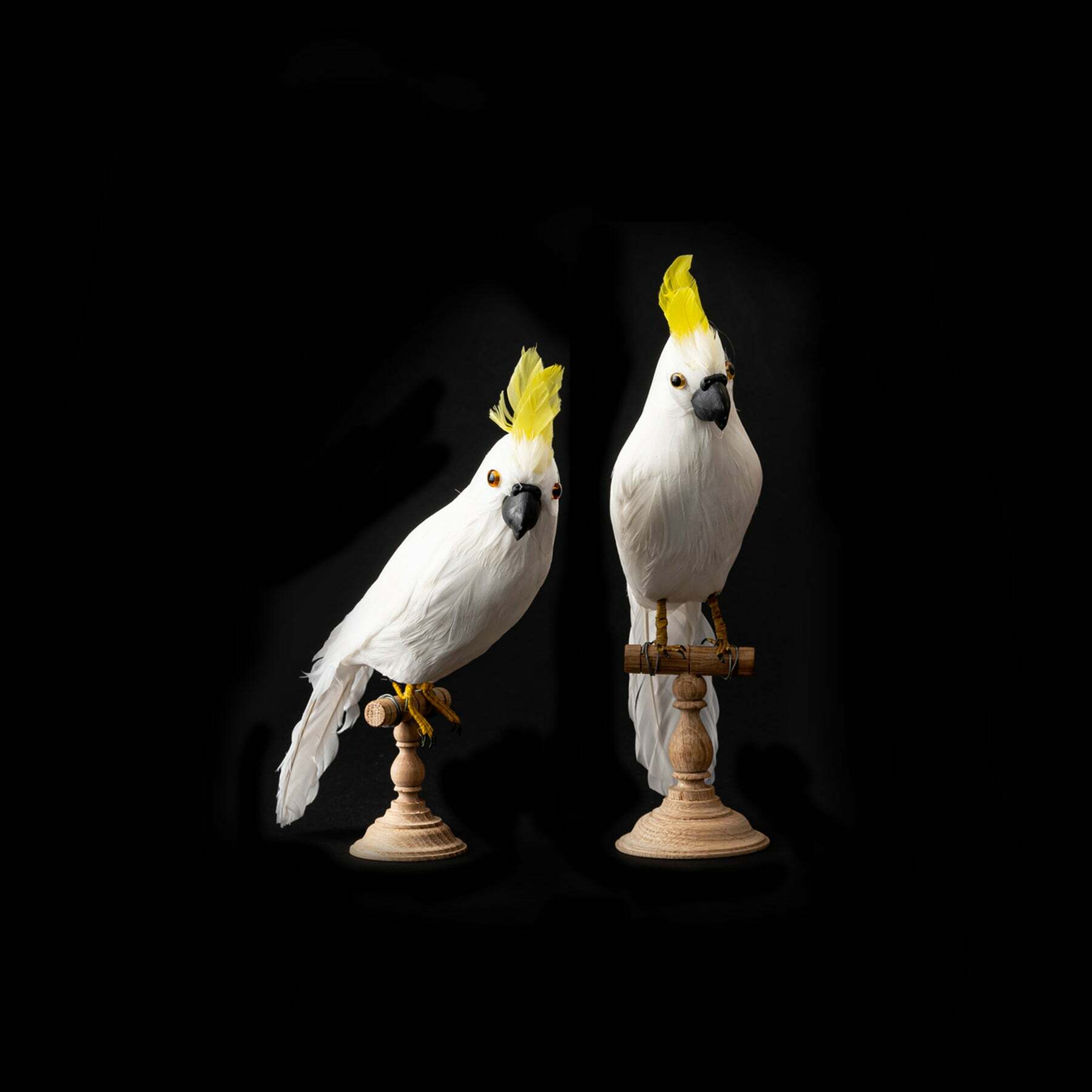 PUEBCO ARTIFICIAL BIRDS Parrot / Small Front