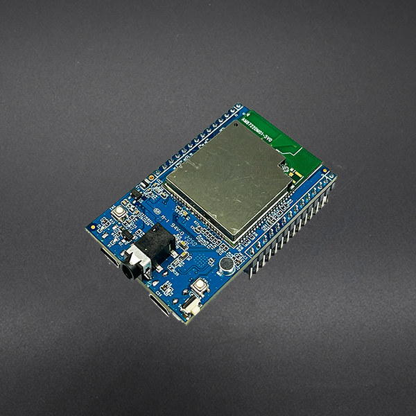 Ameba RTL8722DM mini Board (AMB 23)