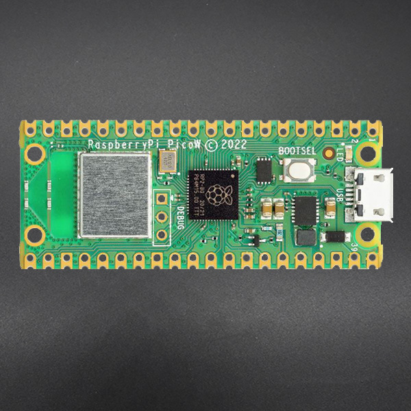 Raspberry Pi Pico W