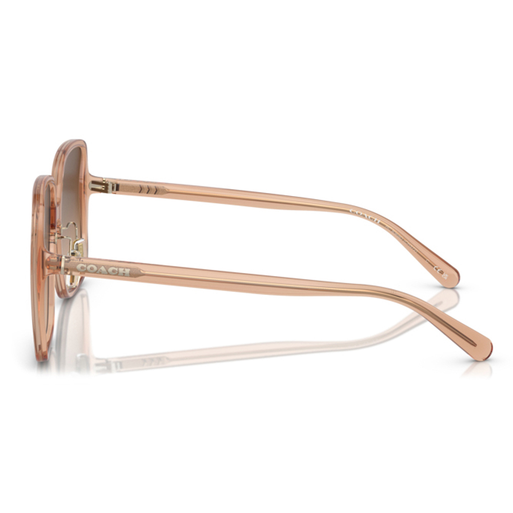 【COACH】HC8368D 556174 方框太陽眼鏡