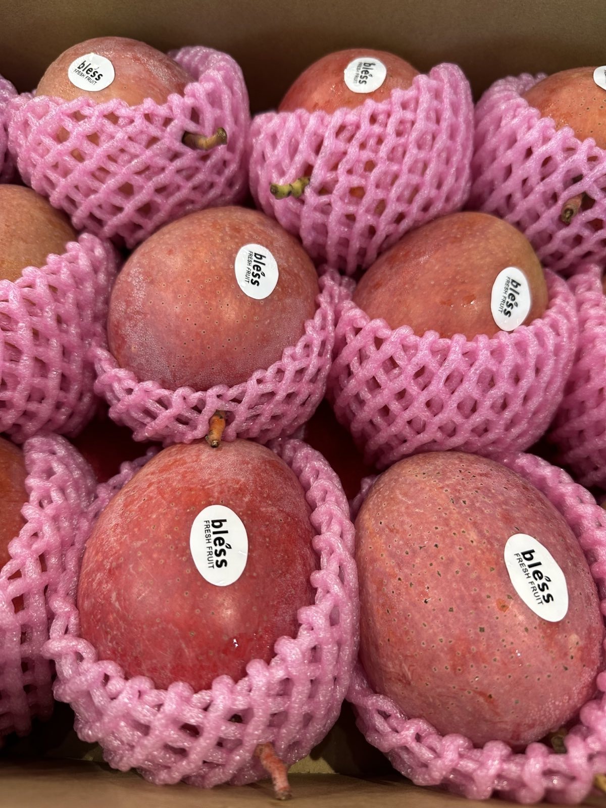 Bless-Fruit-Taiwan- 慢文芒果 （9-10庒）