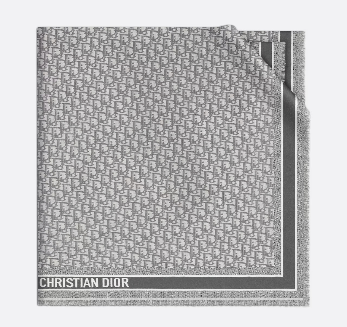 Dior oblique shawl