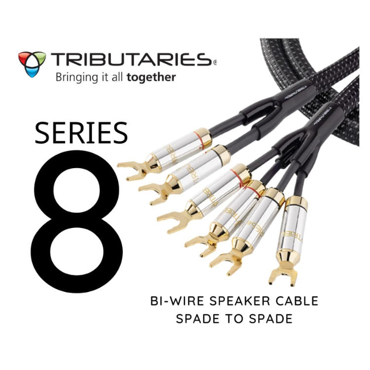 Tributaries 8BW LC-OFC (5N線性大晶體無氧銅) Bi-Wire 喇叭線 | 雅詠音響