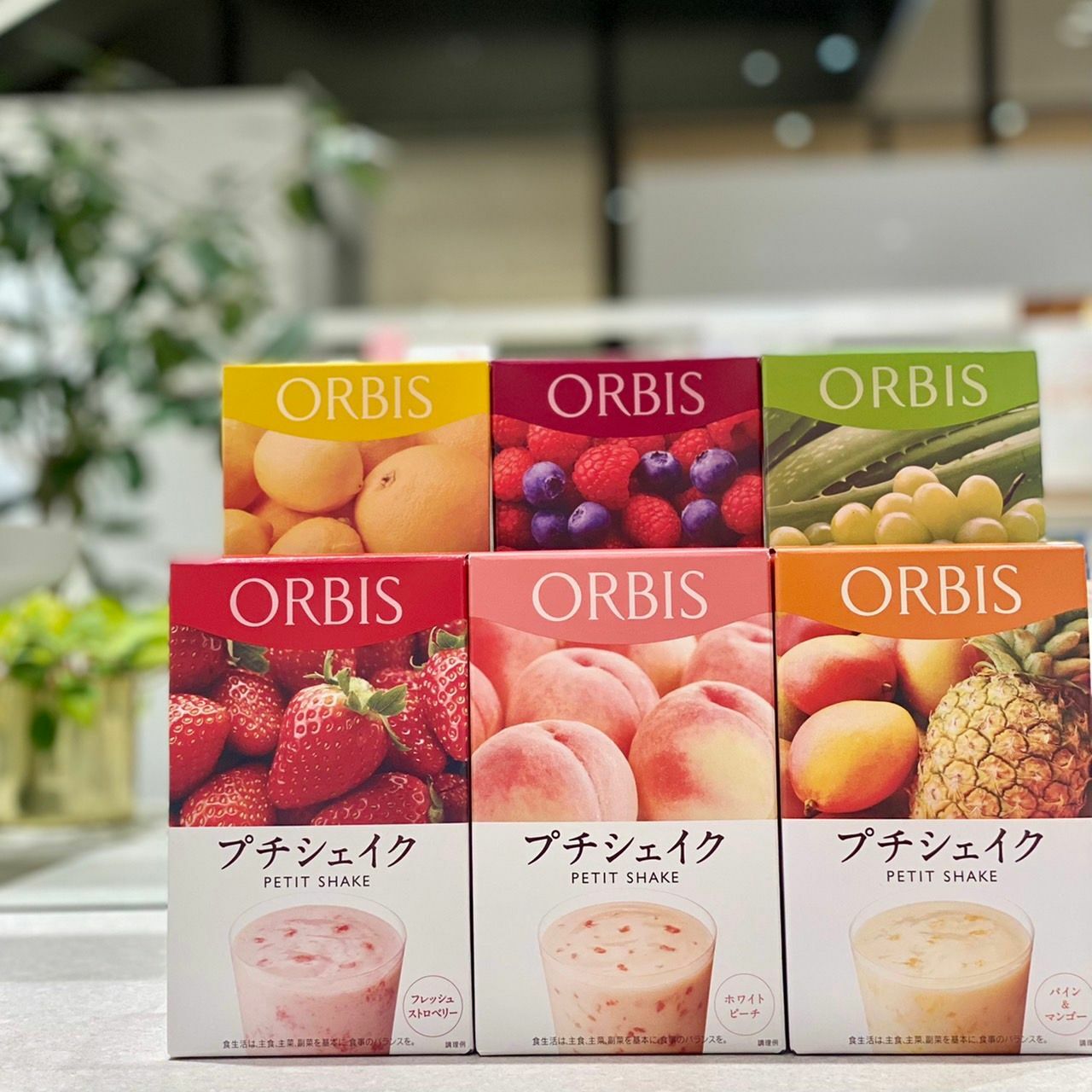 Orbis