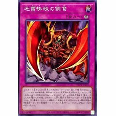 WPP4-JP010 N 地雷蜘蛛的餌食