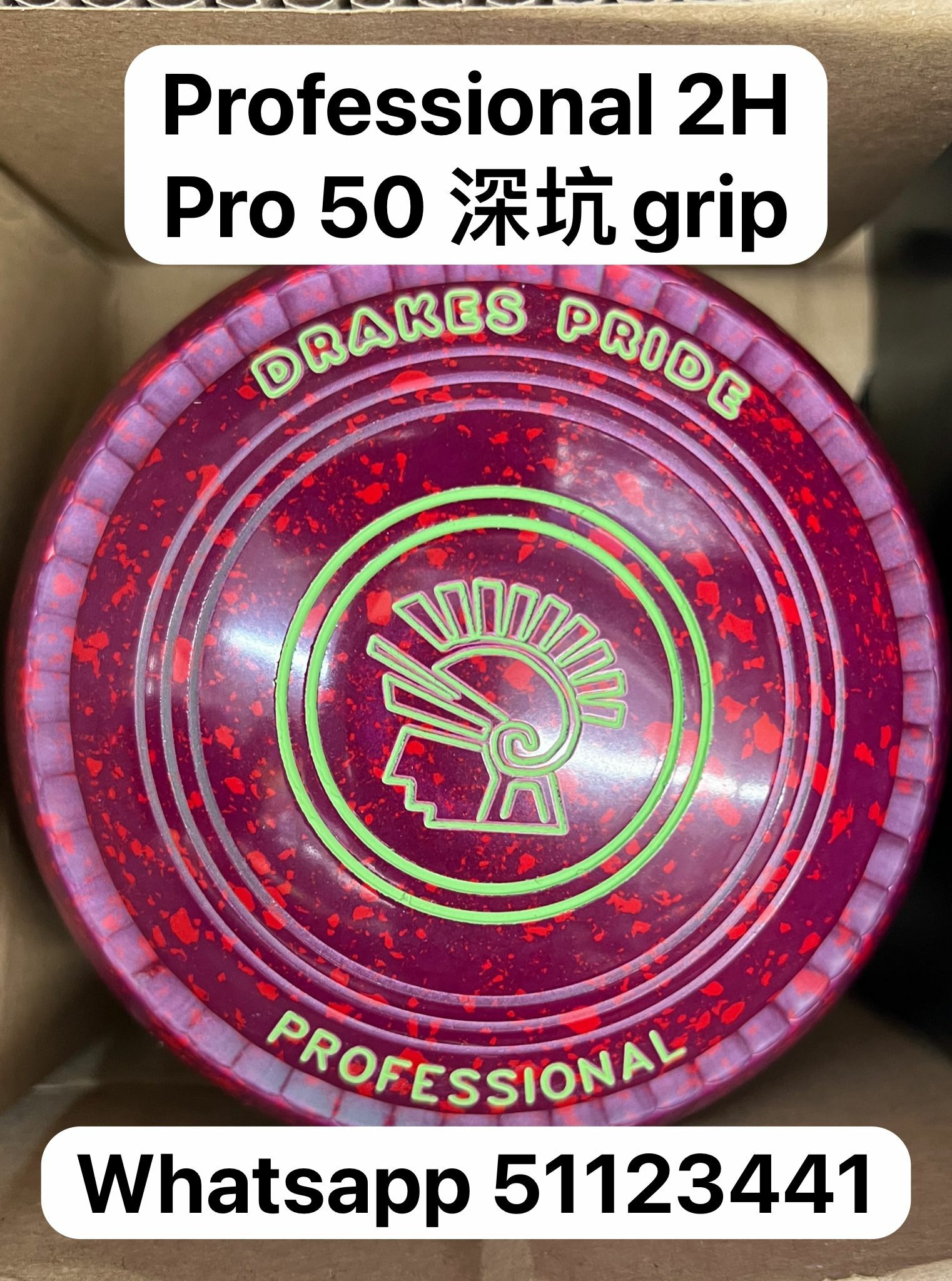 DP 2H Professional - Blue