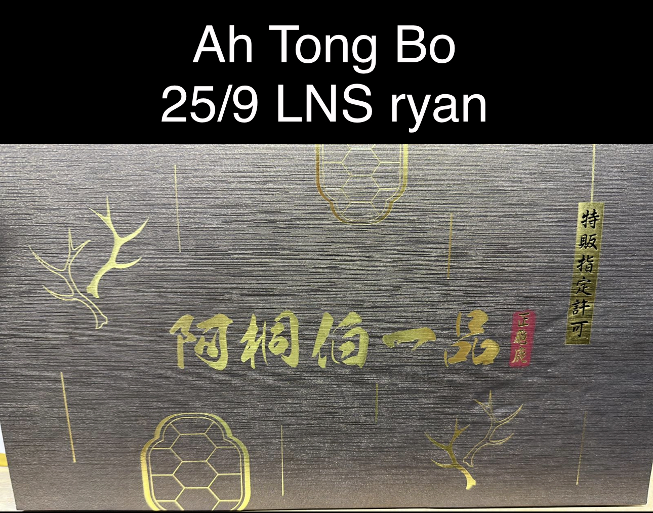 Ah tong Bo 1 LNS Ryan (preorder 8 weeks Taiwan Septembe