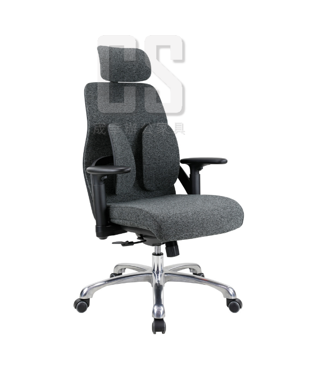 BM01TGA 巴馬雙背人體工學椅