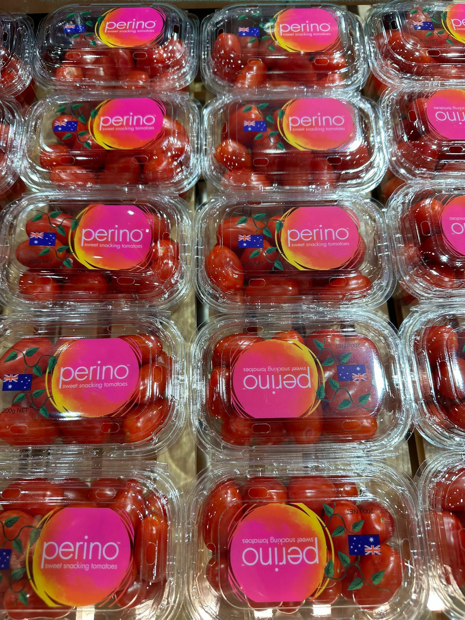 Bless-Fruit-perino 澳洲超甜零食蕃茄仔