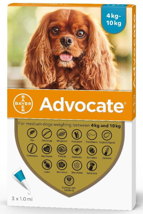 Advocate for Dogs under 4-10kg