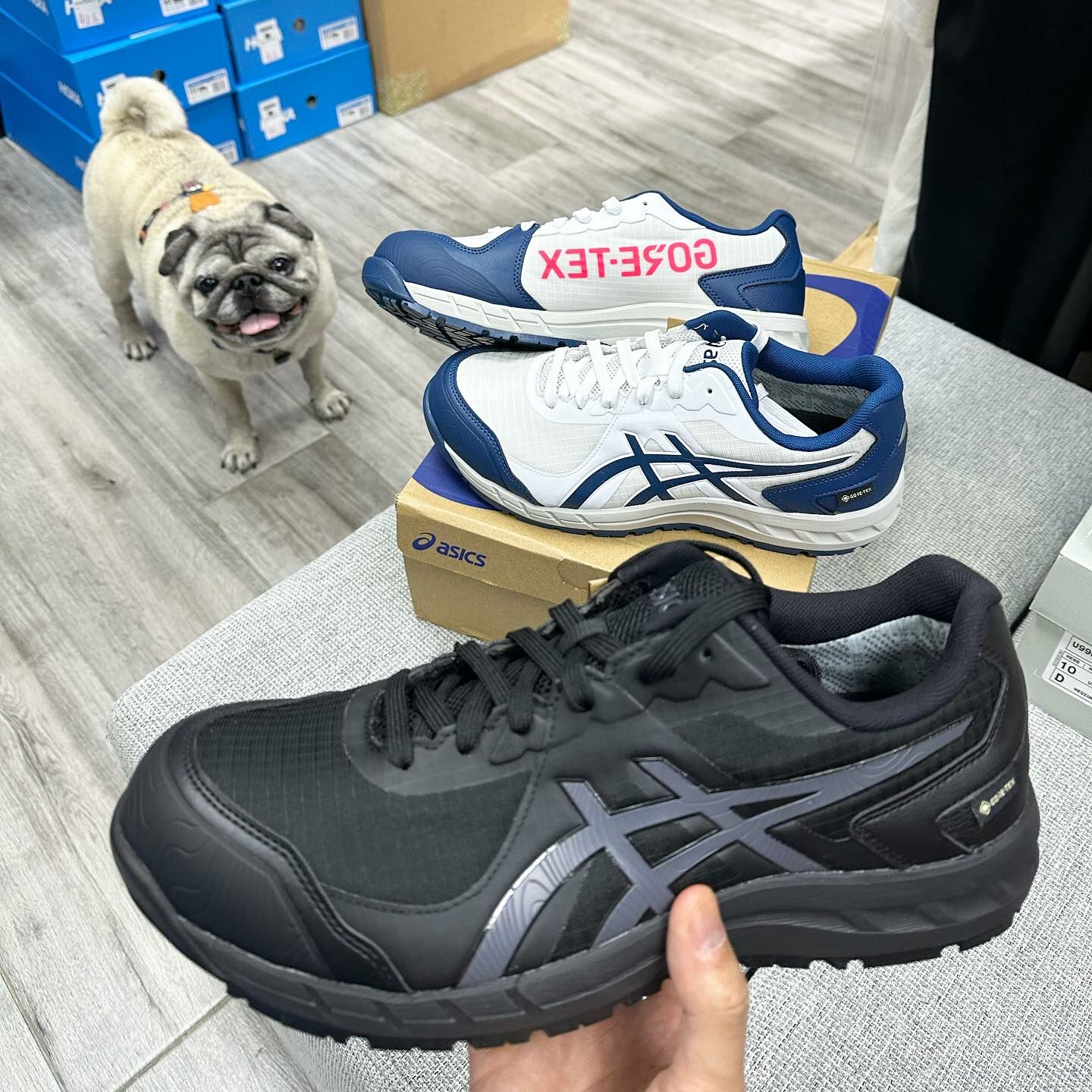 預訂 2023年9月新出 防水工作鞋 ASICS CP-603 GTX