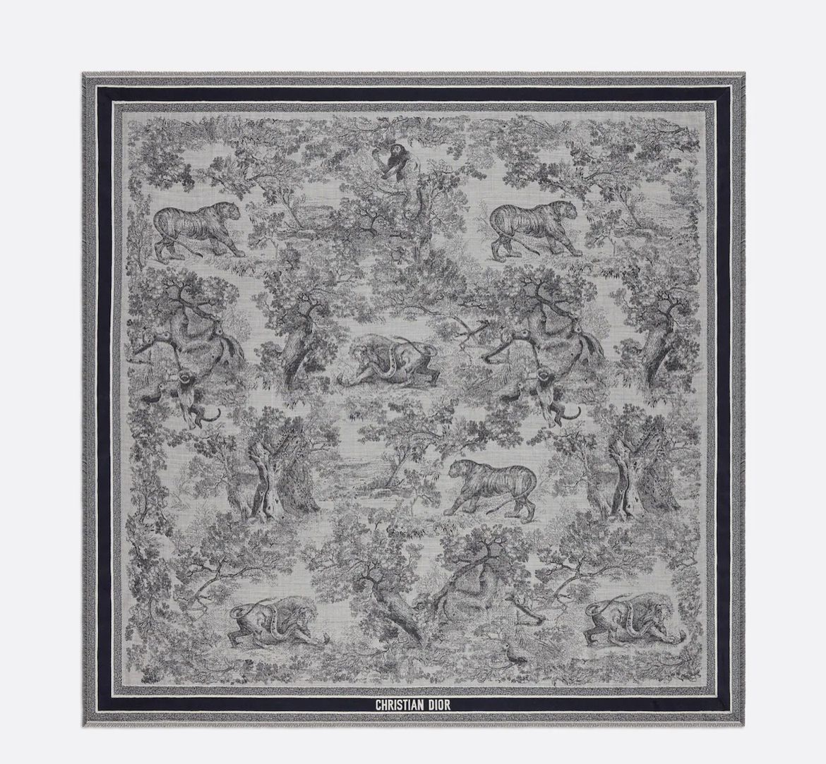 Dior Toile De Jouy Shawl