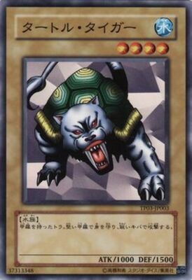TP03-JP003 龜虎