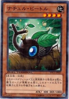 DTC1-JP057 自然甲蟲