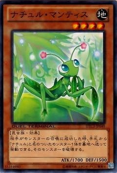 DTC3-JP049 自然螳螂