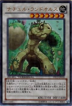 DTC3-JP030(UR/SER) 自然地龜