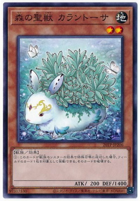 20TP-JP206 森之聖獸 月兔耳獸