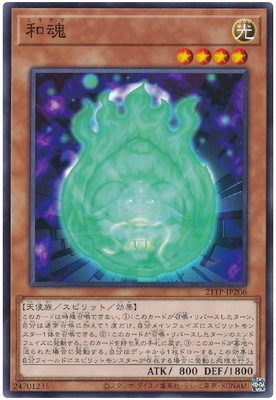 21TP-JP206 和魂