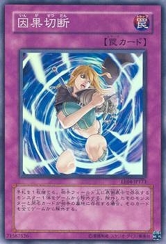 EE04-JP173(SR) 因果切斷