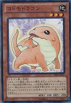 PR03-JP007 孩子龍