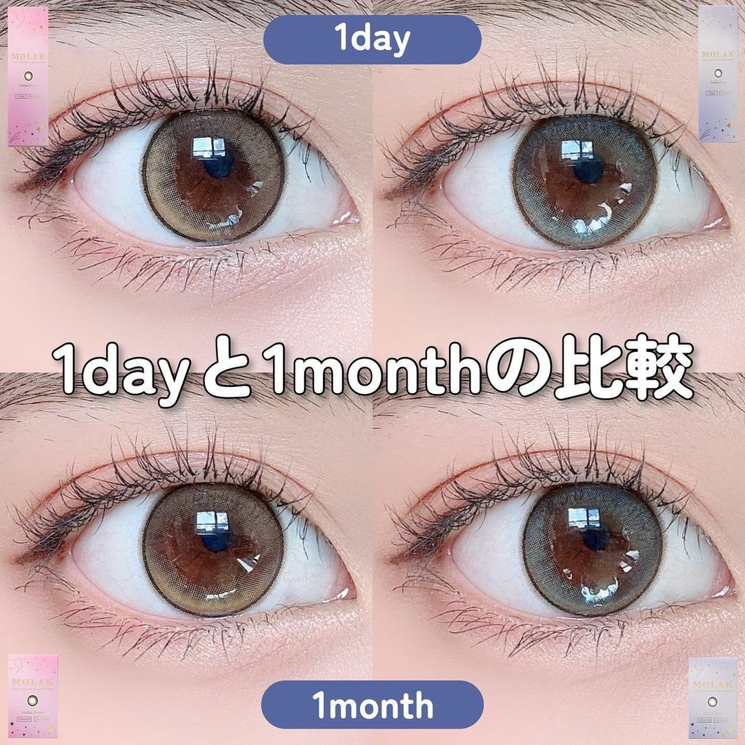 Molak Month 2P Dollish Brown Dollish Gray