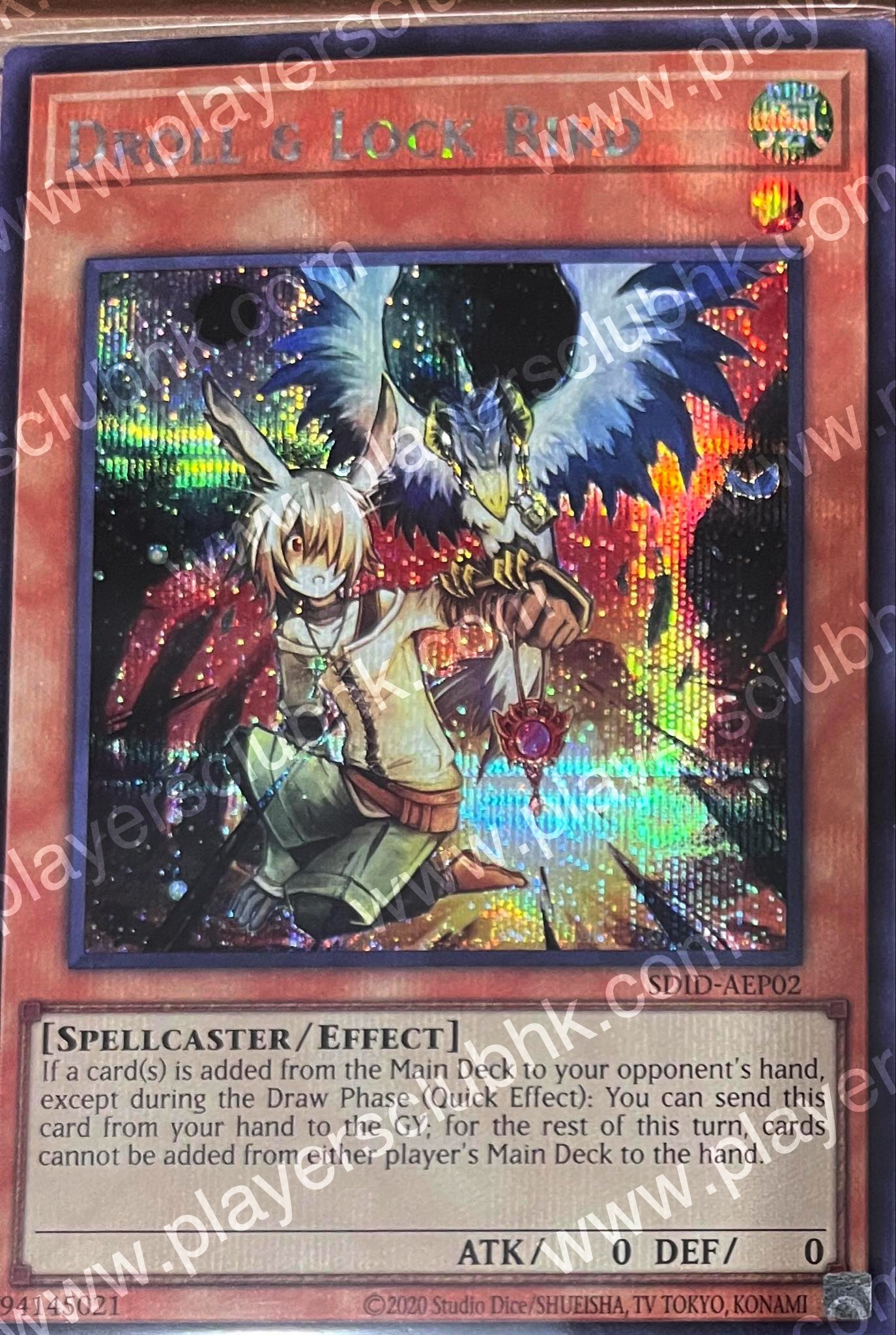 SDID-AEP02 Droll & Lock Bird