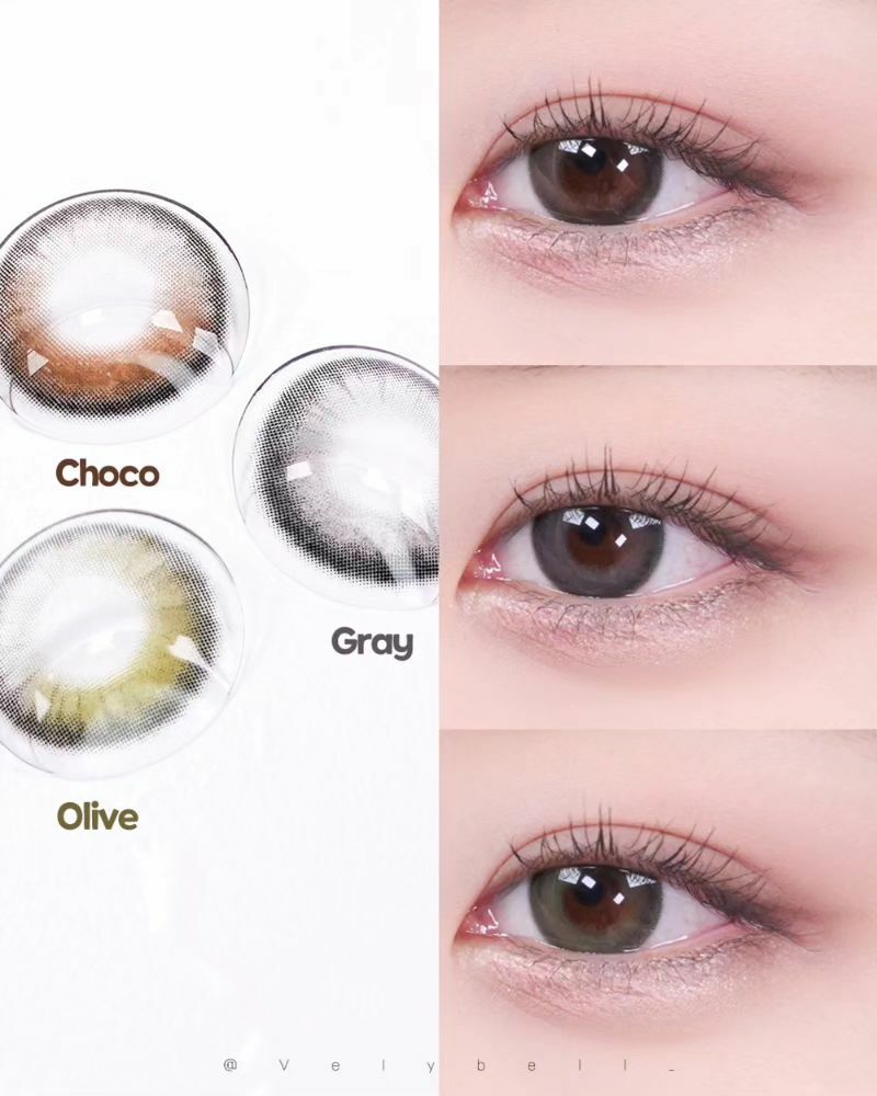 Lenstown Palm 3color Year 2P