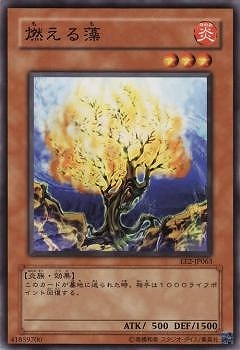 EE2-JP063 燃える藻(燃藻)