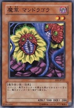 EE1-JP127 魔草 マンドラゴラ(魔草 曼陀羅花)