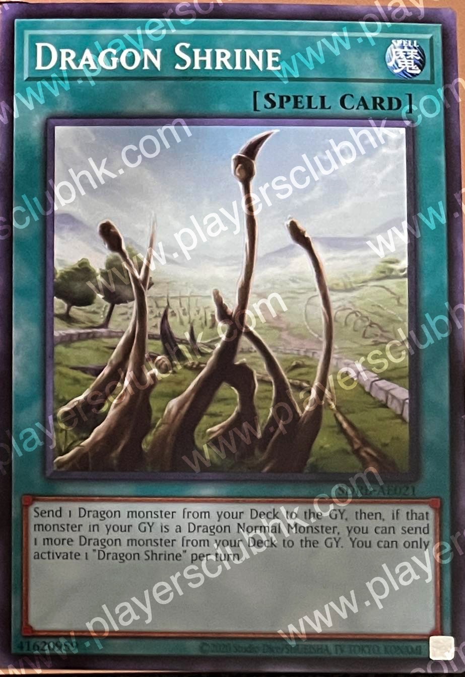 SDRB-AE021 Dragon Shrine