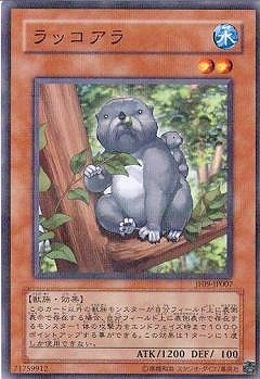 JF09-JP007（NPR） 海獺樹熊