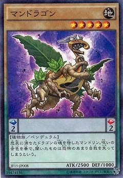 JF15-JP008（NPR） 曼陀龍