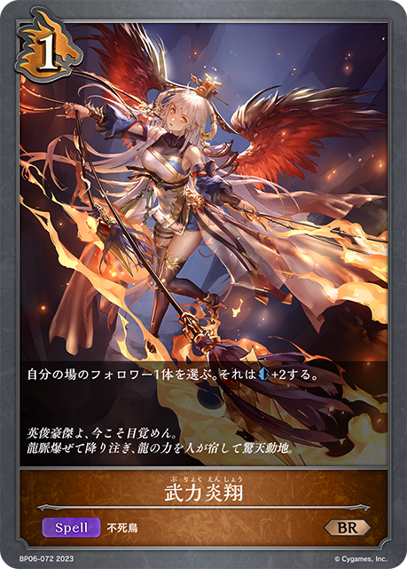 BP06-072 武力炎翔