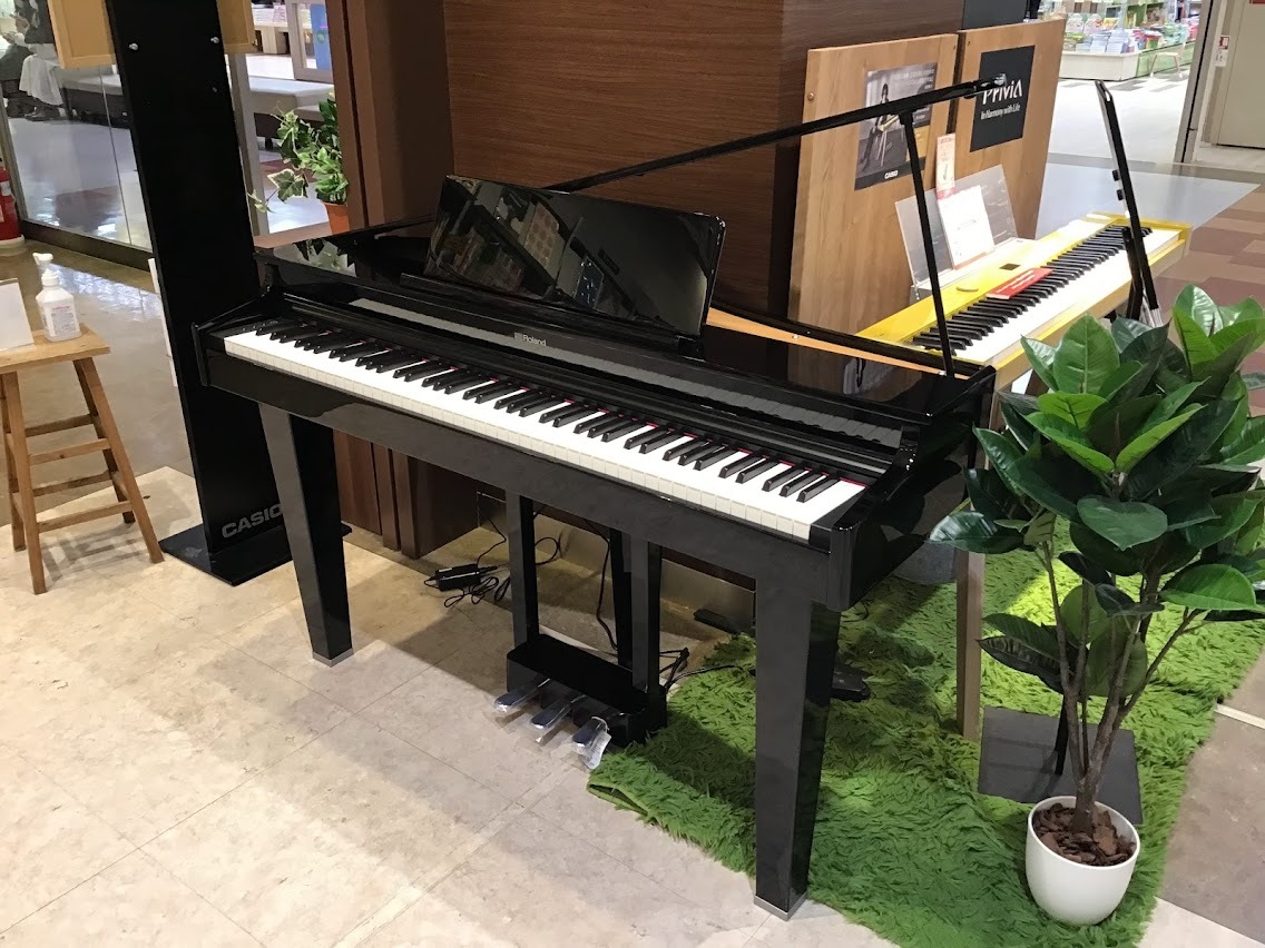 Roland GP-3 digital grand piano / Roland GP-6 數碼三角琴 數