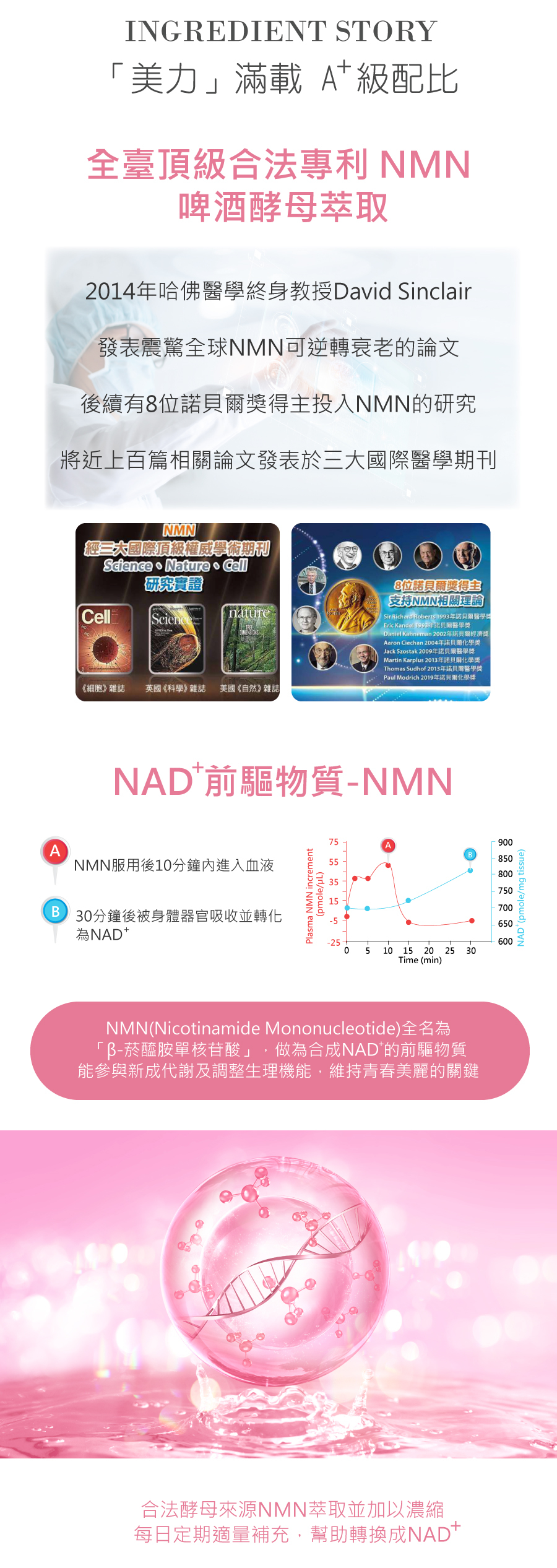 AQUA C.花漾皙 營養師吳金鋒推薦｜NMN花孅飲(15包/盒)