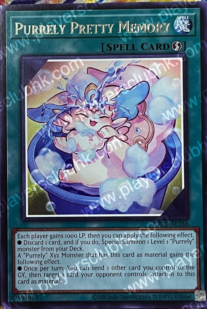 CR01-AE186 Purrely Pretty Memory