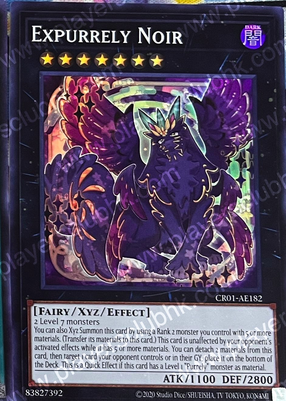 CR01-AE182(SR)Expurrely Noir