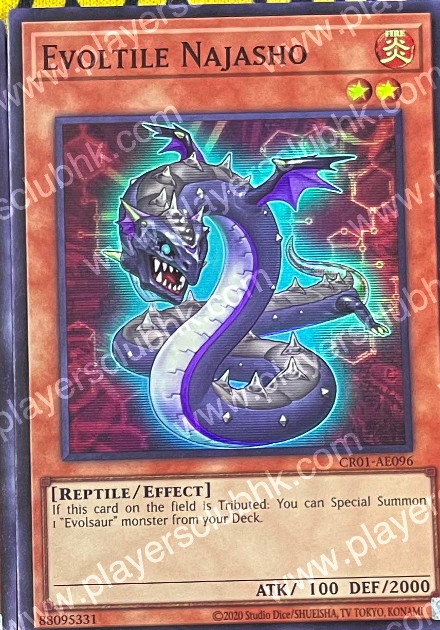 CR01-AE096(SR) Evoltile Najasho