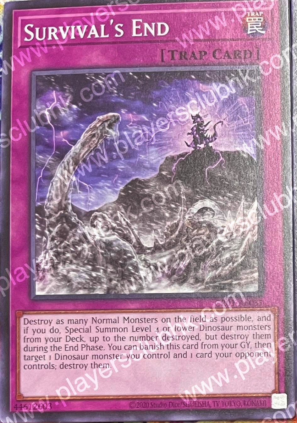 CR01-AE031 Survival's End