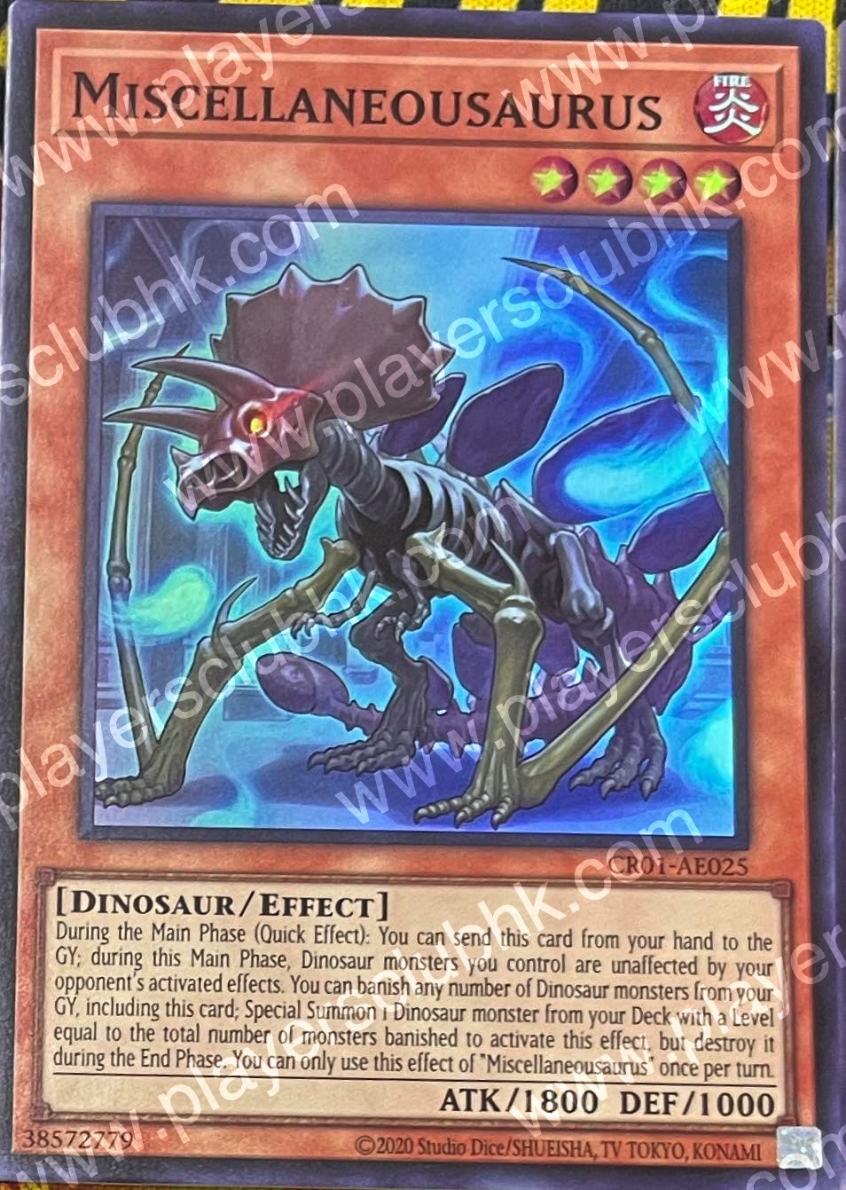 CR01-AE025(SR) Miscellaneousaurus