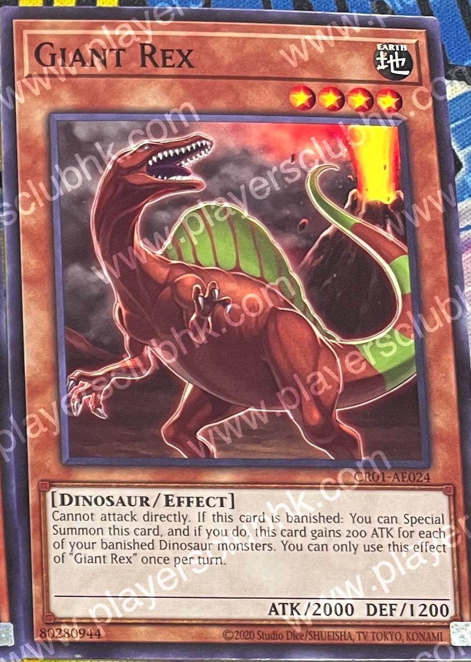 CR01-AE024 Giant Rex