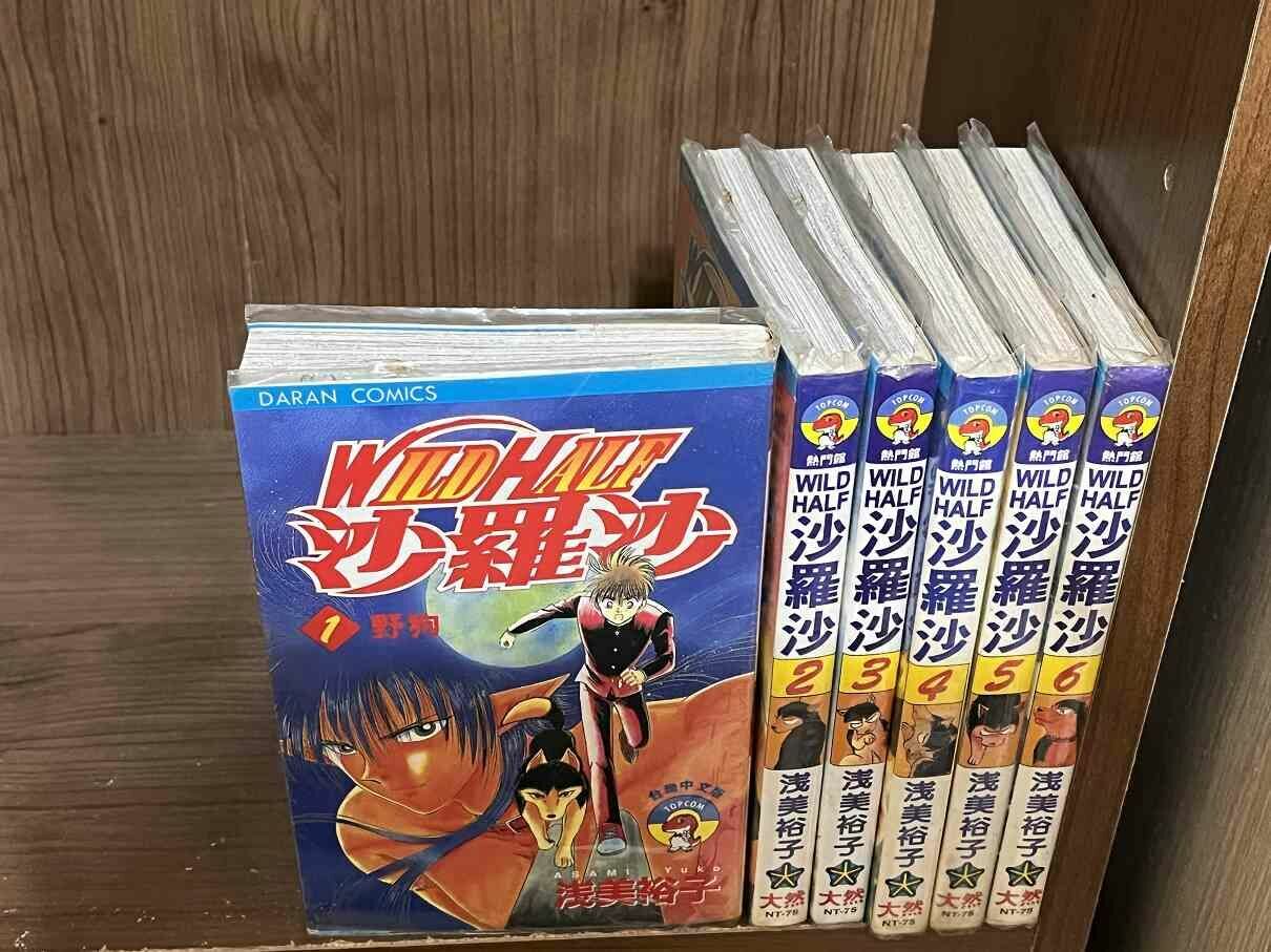 漫畫 WILD HALF 沙羅沙 1-6集 #無釘章【MC1016】