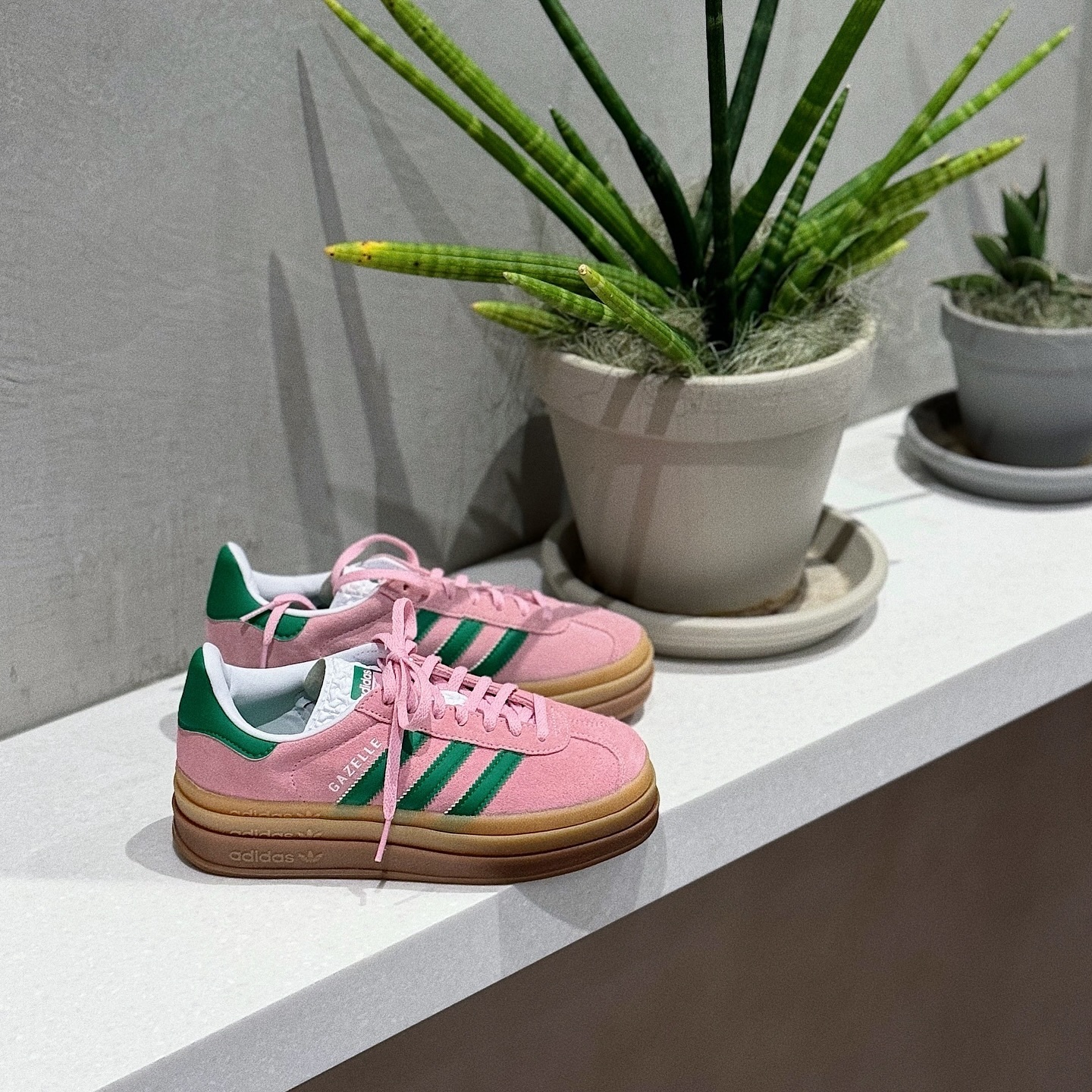 Adidas Originals Gazelle Bold Lisa同款 粉淡紅 結構 厚底 IE0420