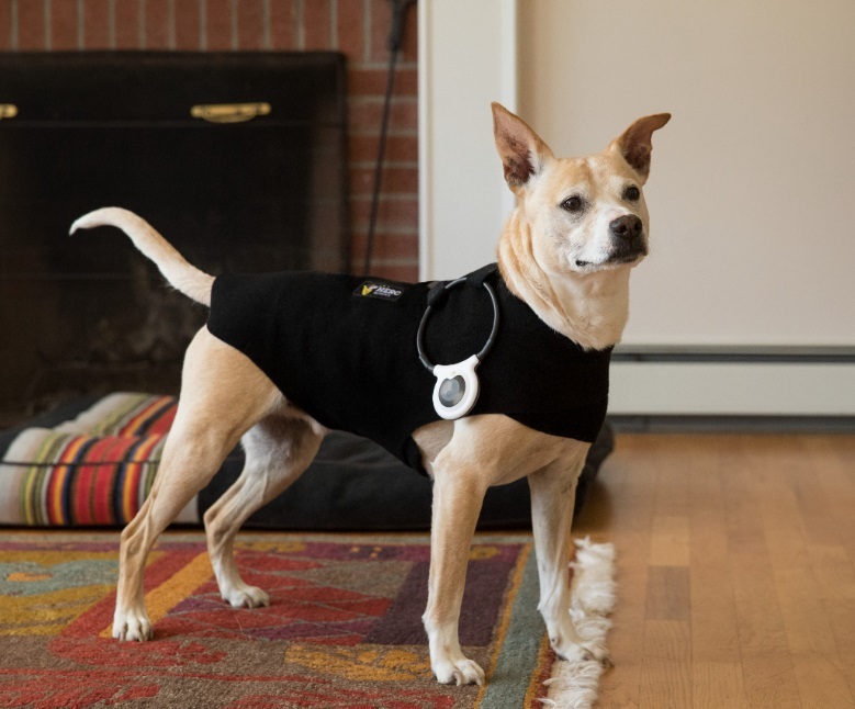 毛毛動動｜ASSISI LOOP® 脈衝電磁