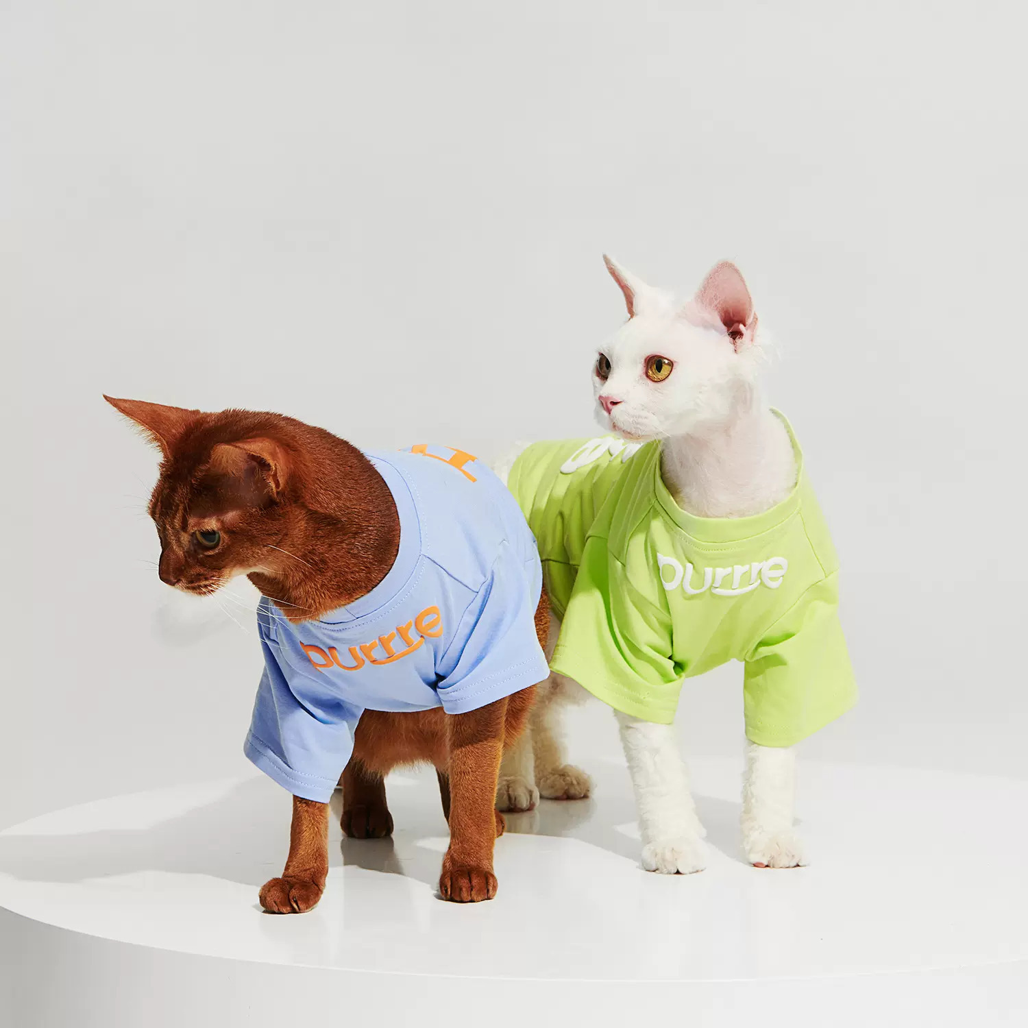 Purrre | 品牌T恤(三色)